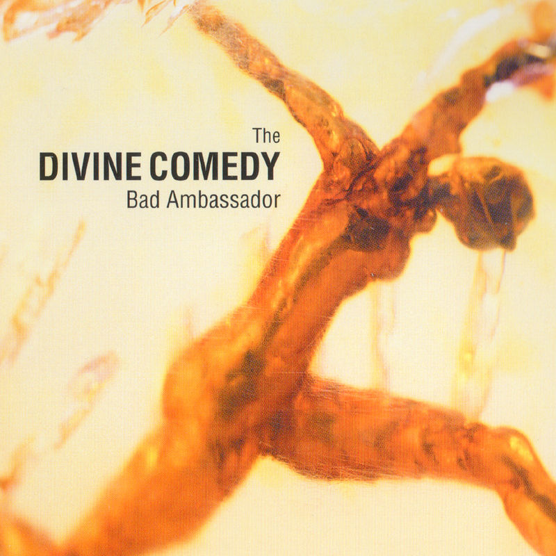 Invisible Thread | Music | The Divine Comedy
